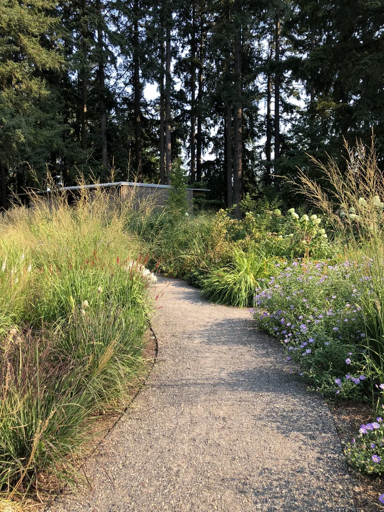 Public Collections | Seattle Landscape Architecture Firm — Skapa, PLLC.
