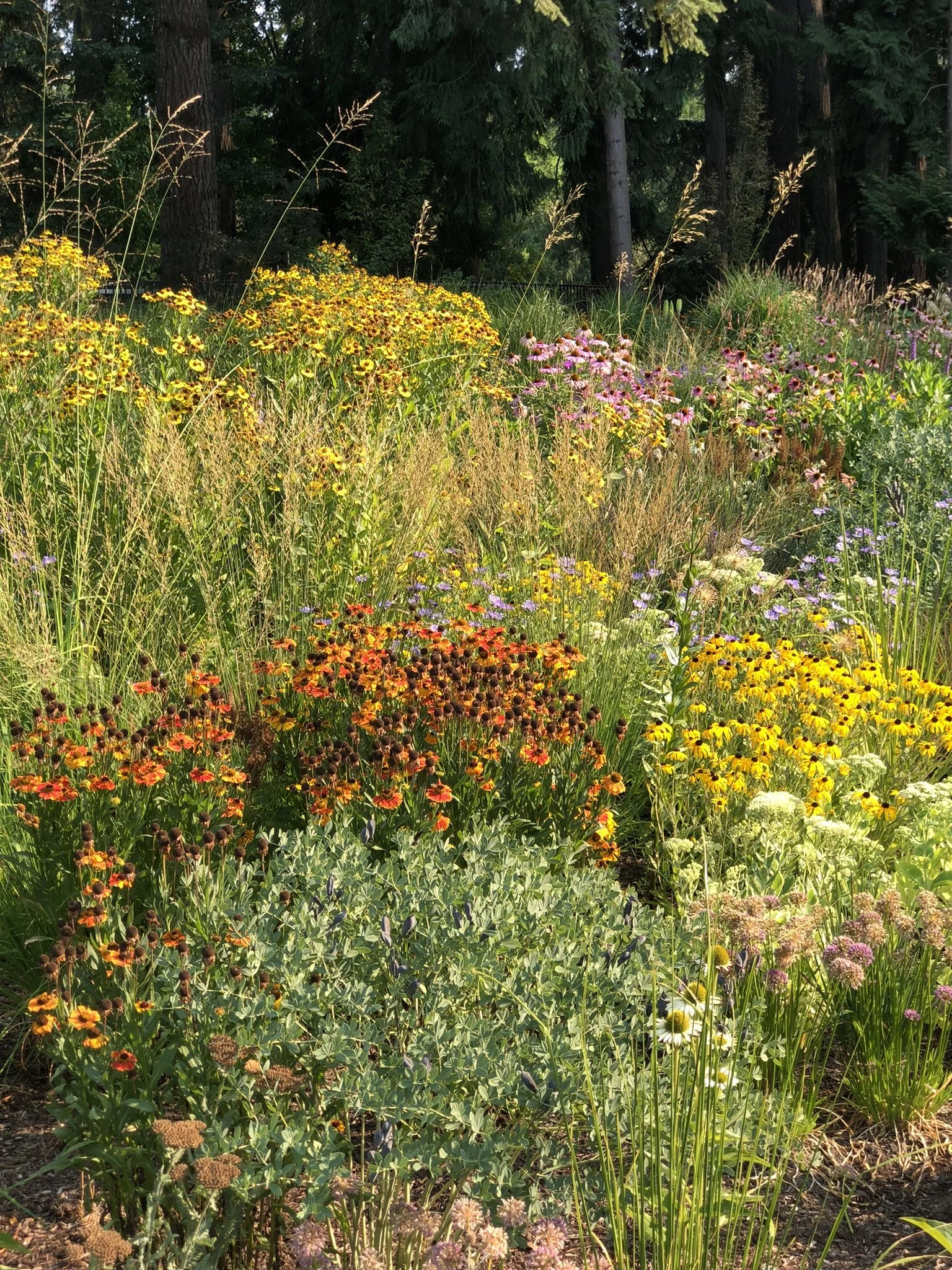 Contact | Seattle Landscape Architecture Firm — Skapa, PLLC.