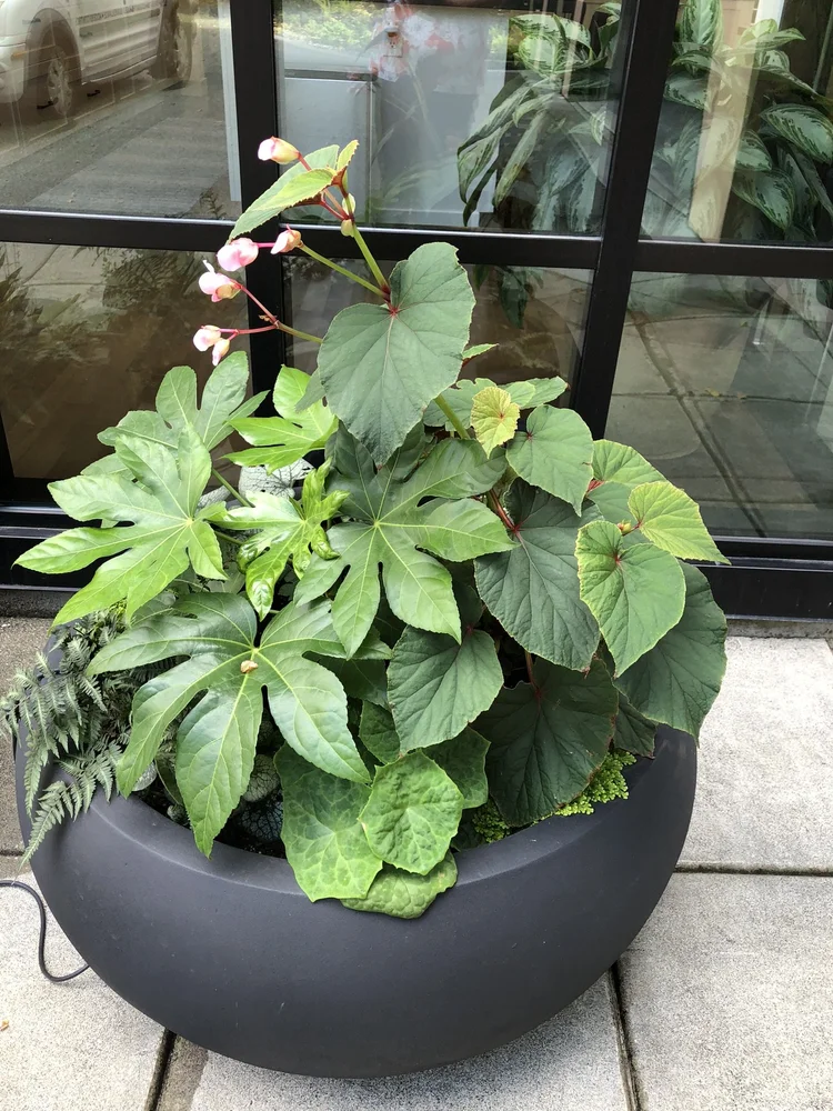 Private Collections | Seattle Landscape Architecture Firm — Skapa, PLLC.