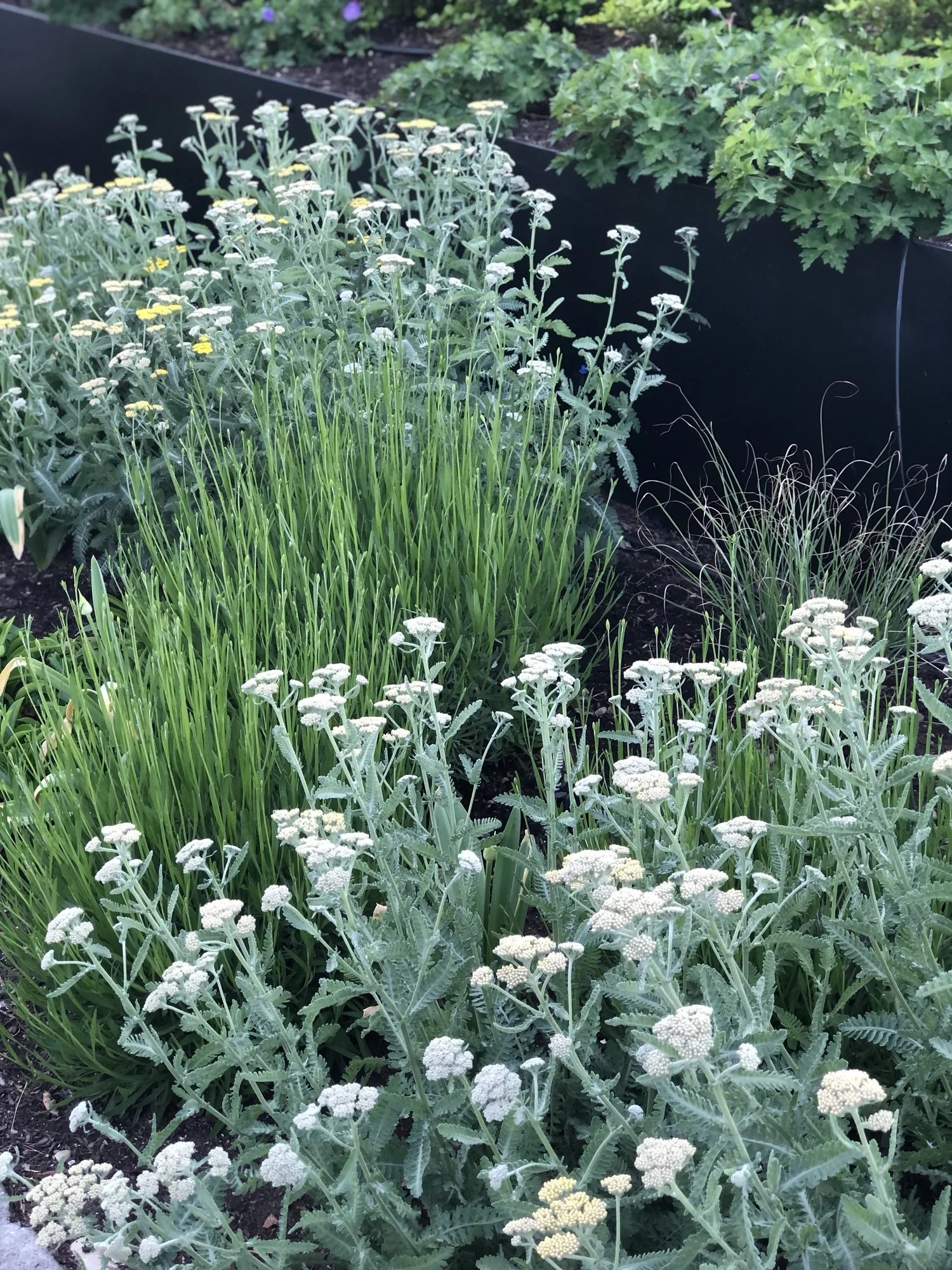 Private Collections | Seattle Landscape Architecture Firm — Skapa, PLLC.