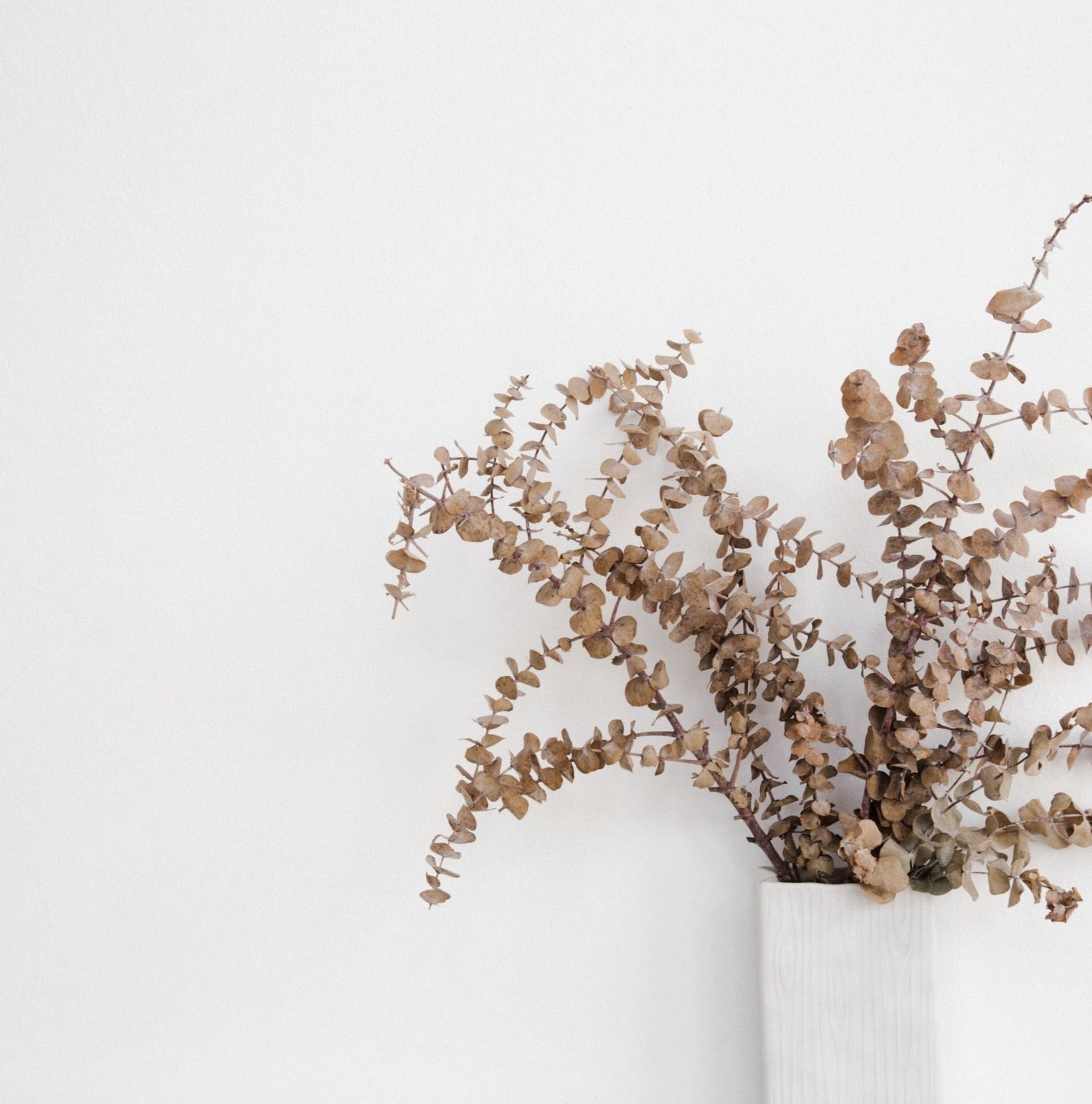 Solmade Studio Brand + Web Design