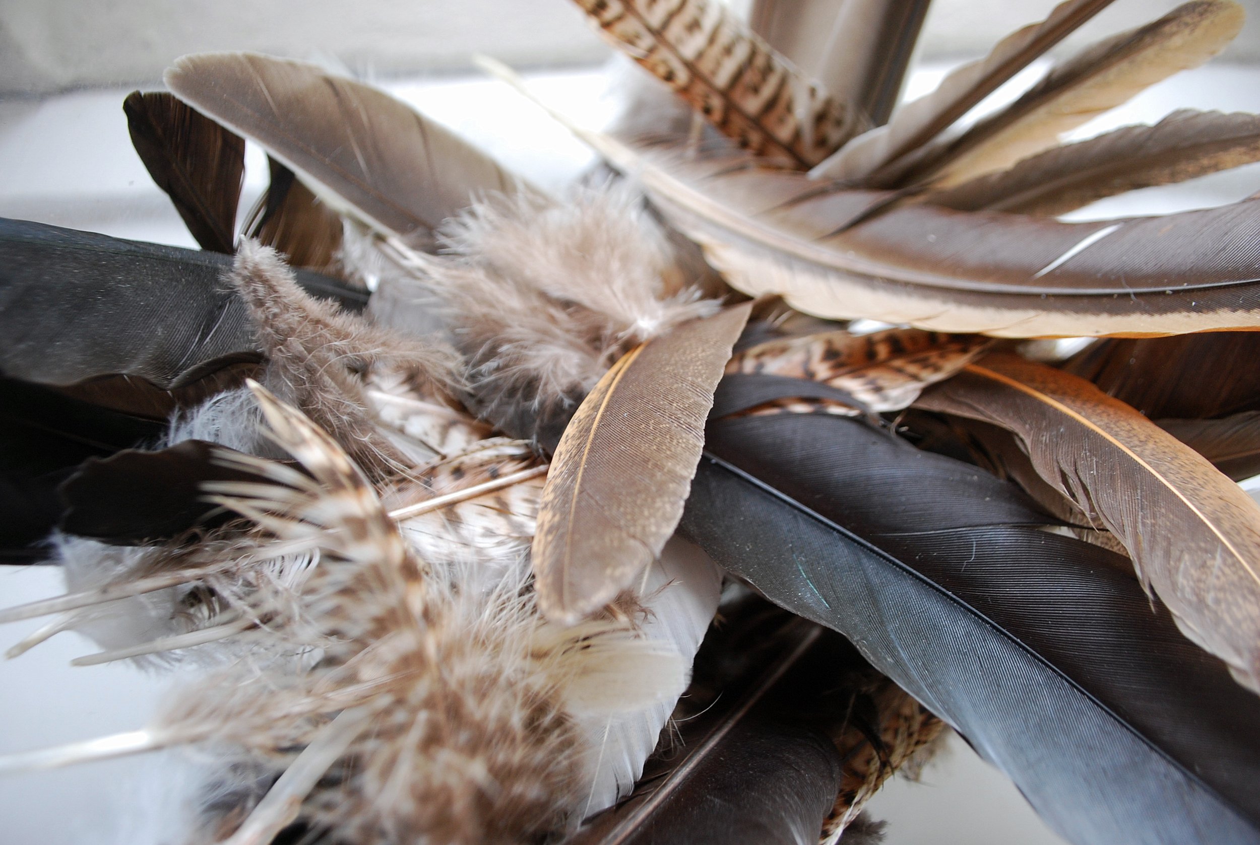 The Held Space - Trauma / Nervous System Reset Retreat — Tofte Manor