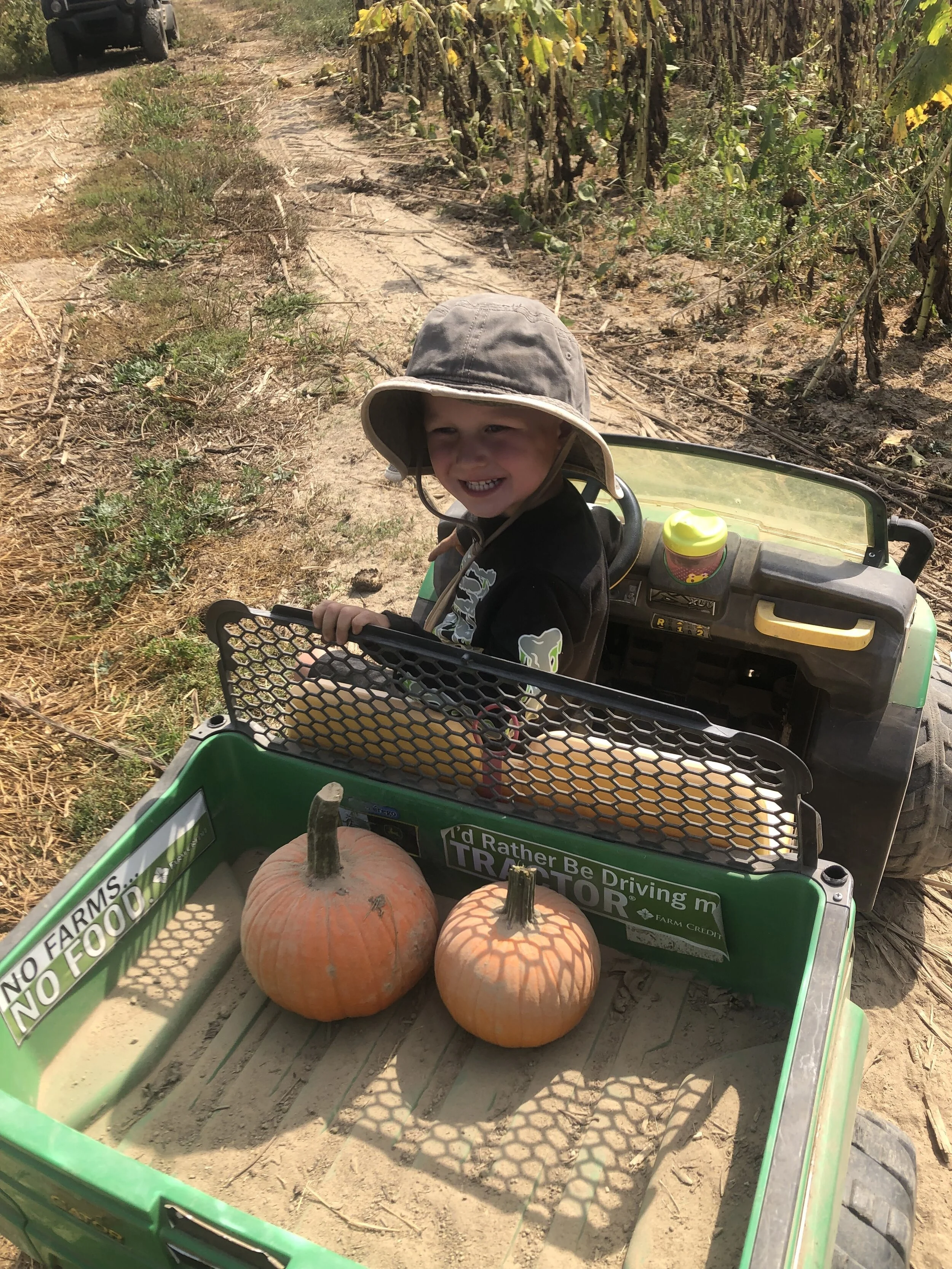 About Armstrong Artisan Farm - Farm in Walnut Cove, NC — Armstrong ...