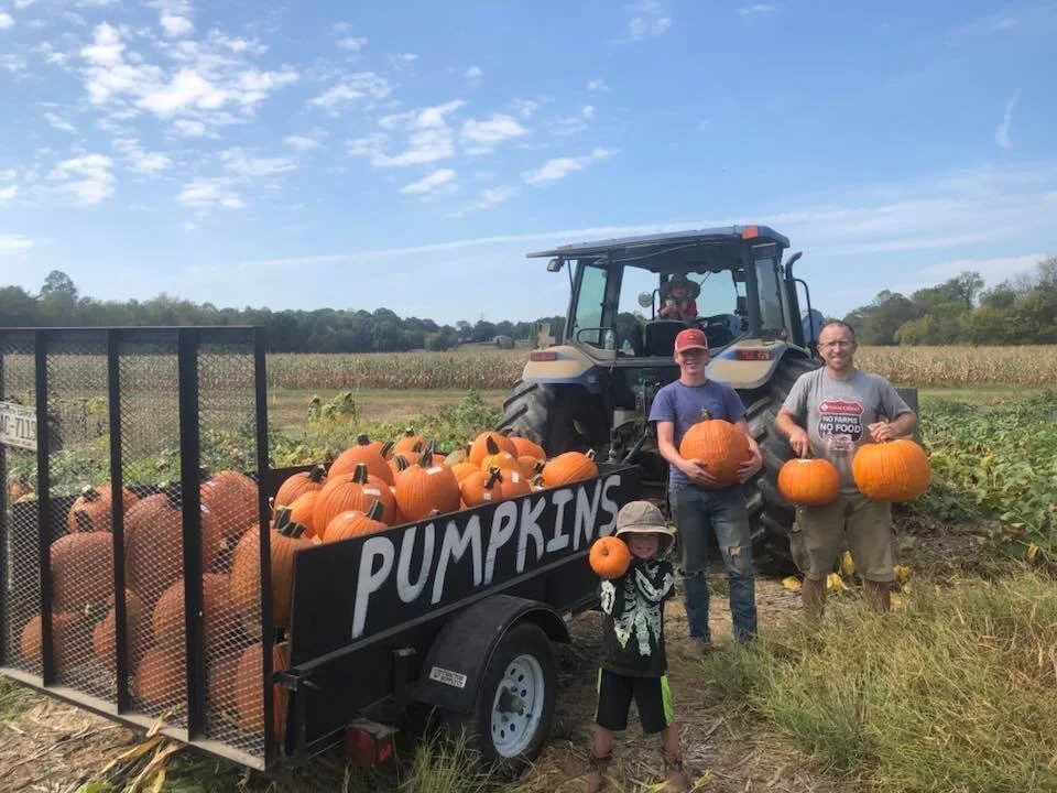 About Armstrong Artisan Farm - Farm in Walnut Cove, NC — Armstrong ...