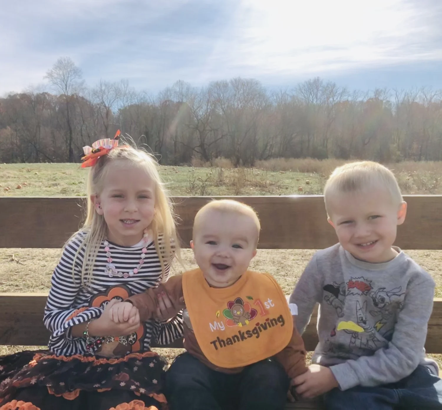 About Armstrong Artisan Farm - Farm in Walnut Cove, NC — Armstrong ...