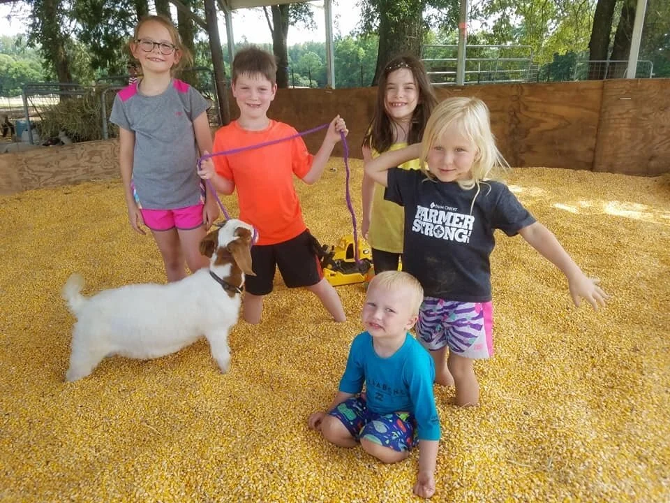 About Armstrong Artisan Farm - Farm in Walnut Cove, NC — Armstrong ...