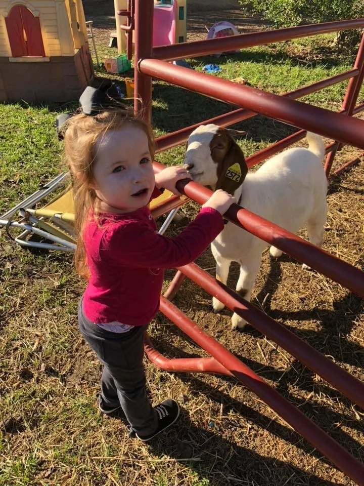 About — Armstrong Artisan Farm