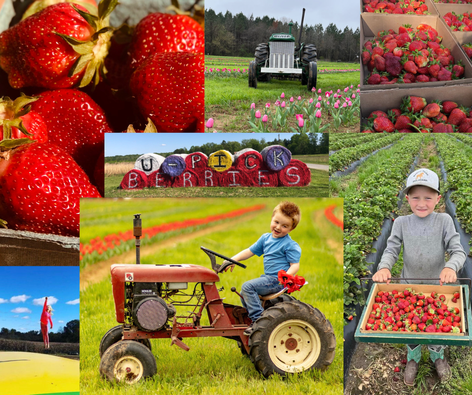 Armstrong Artisan Farm | Naturally Raised Meats | Seasonal Events ...