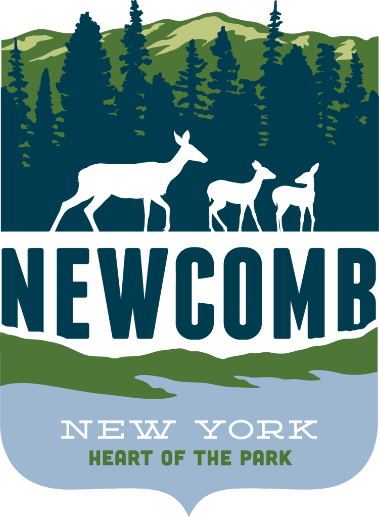 Town of Newcomb