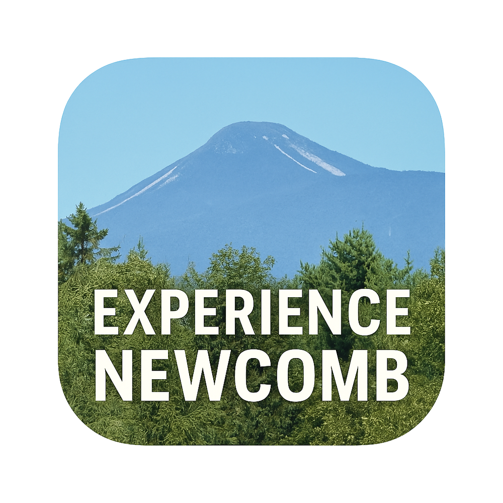 Town of Newcomb