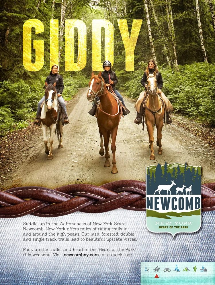 Town of Newcomb