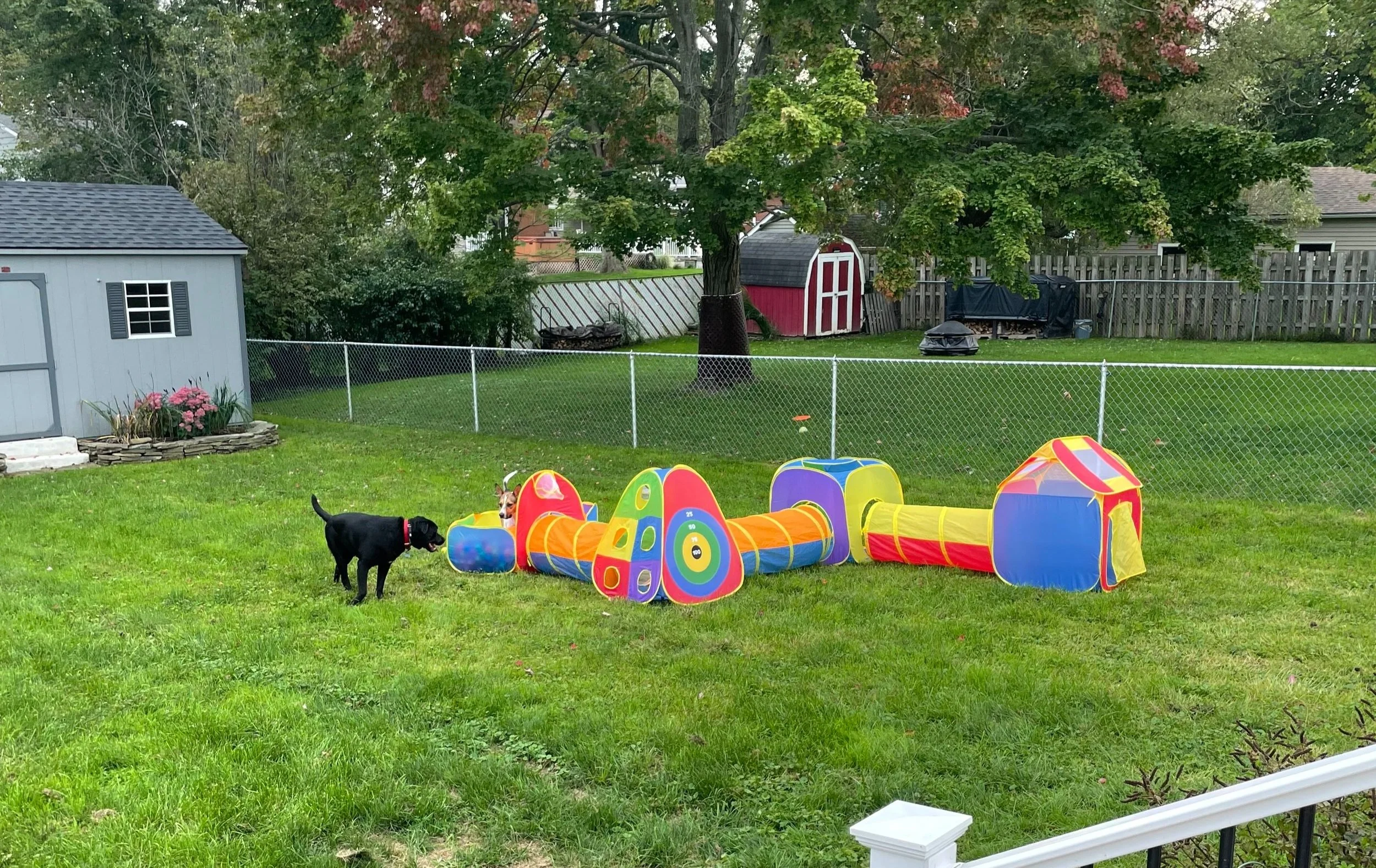 People — Bark and Breakfast