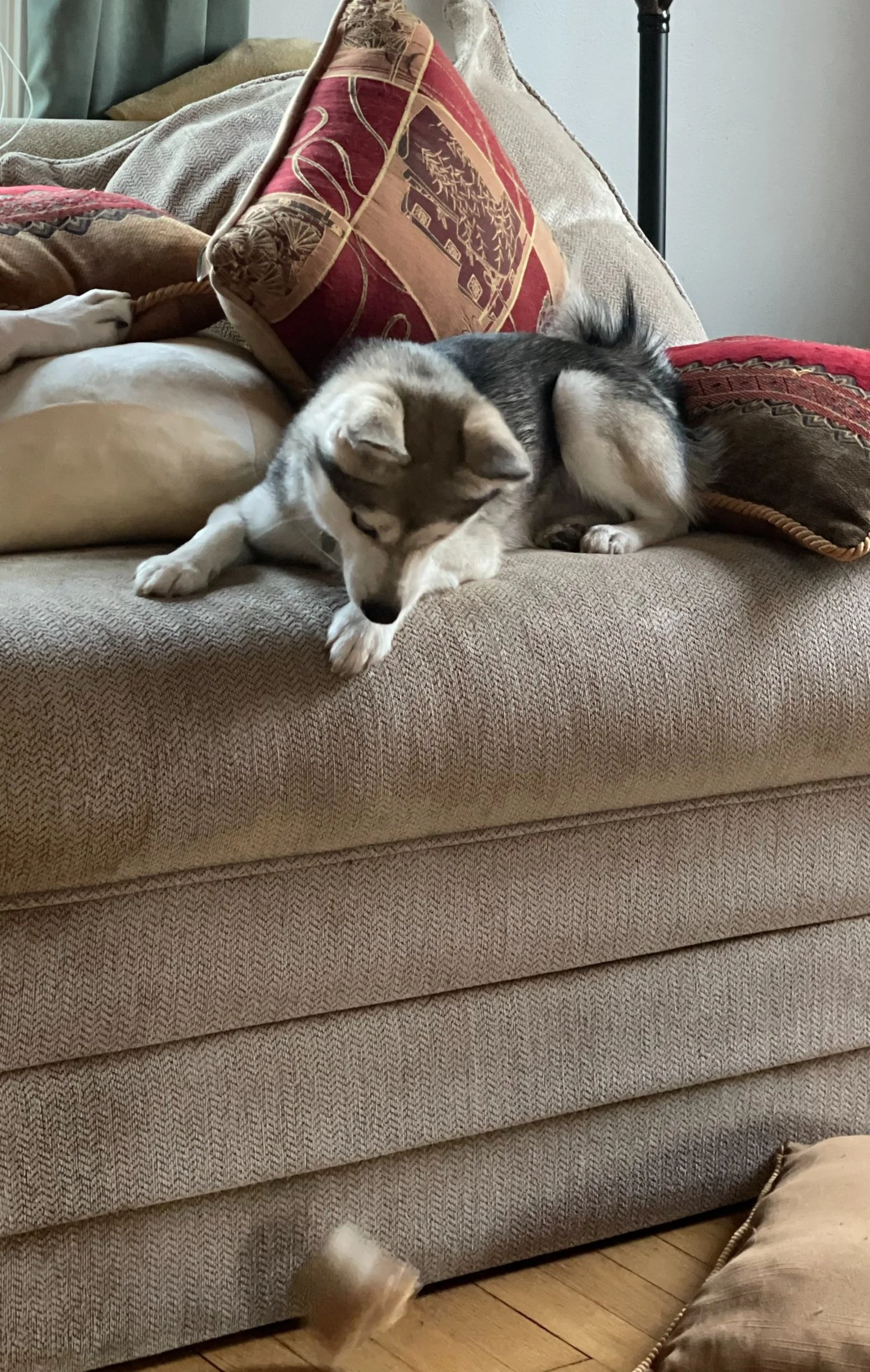 People — Bark and Breakfast