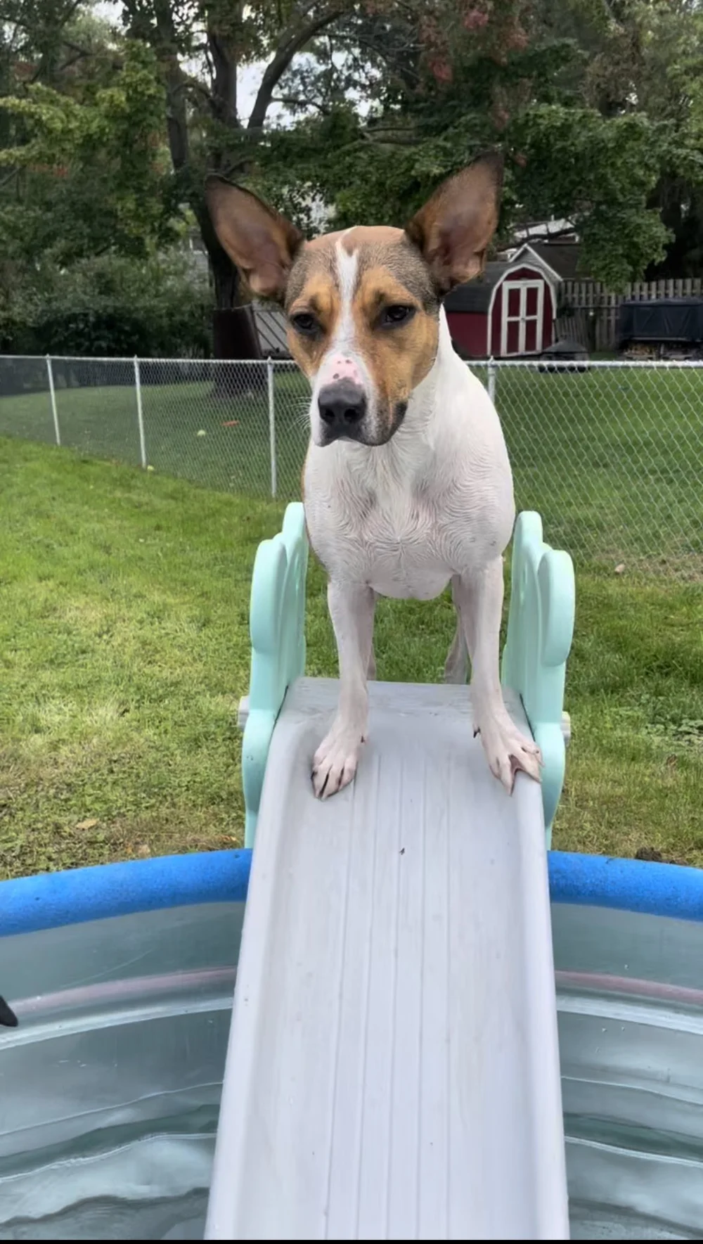 People — Bark and Breakfast