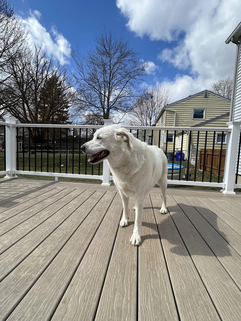 People — Bark and Breakfast