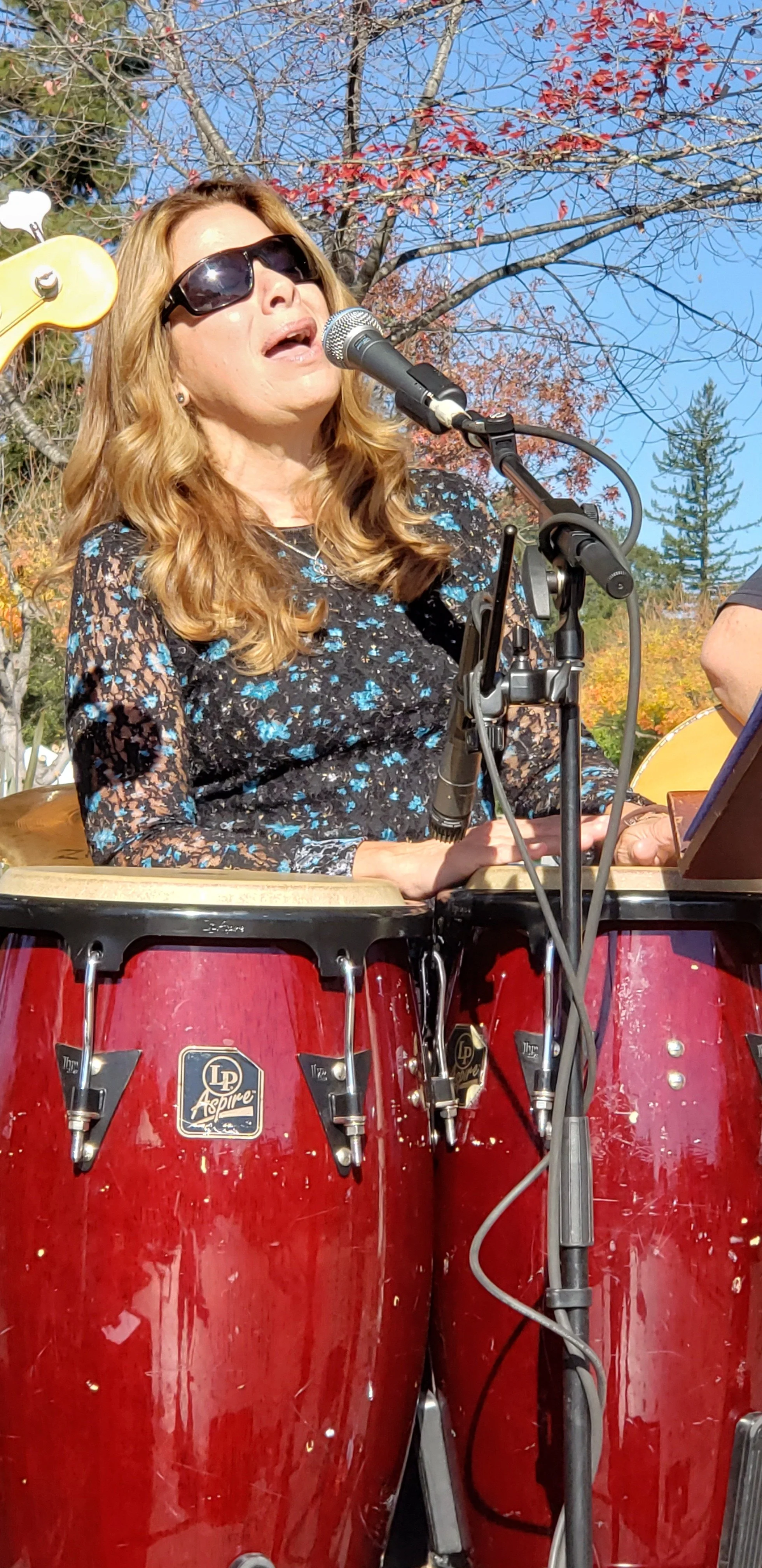 GALLERY — JOYRIDE the band