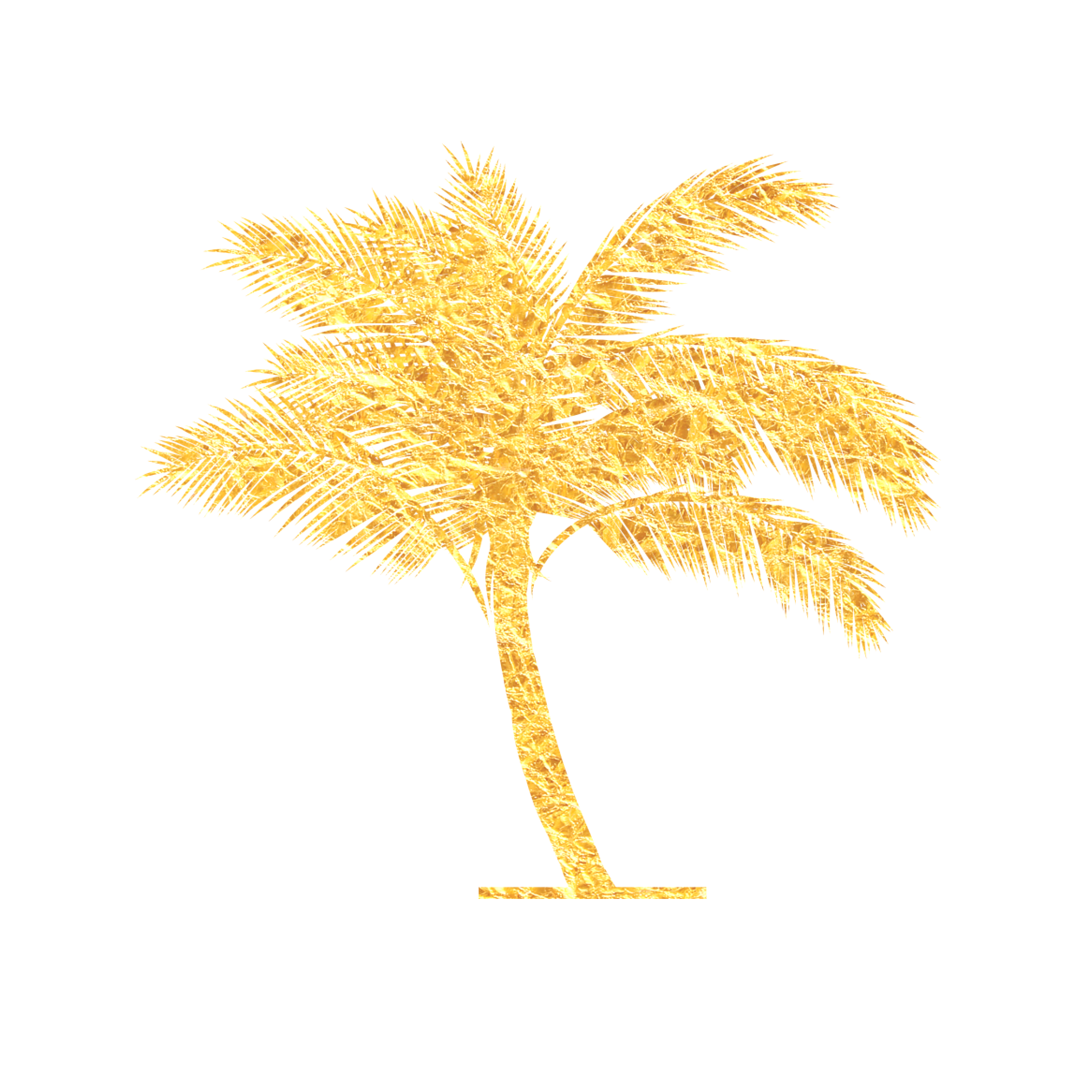 Premier Fine Dining | Jupiter, FL | The Jupiter Grill