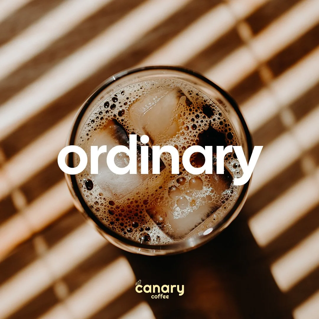 Canary Coffee — Antigeneric Studio - Creative Digital Solutions for ...