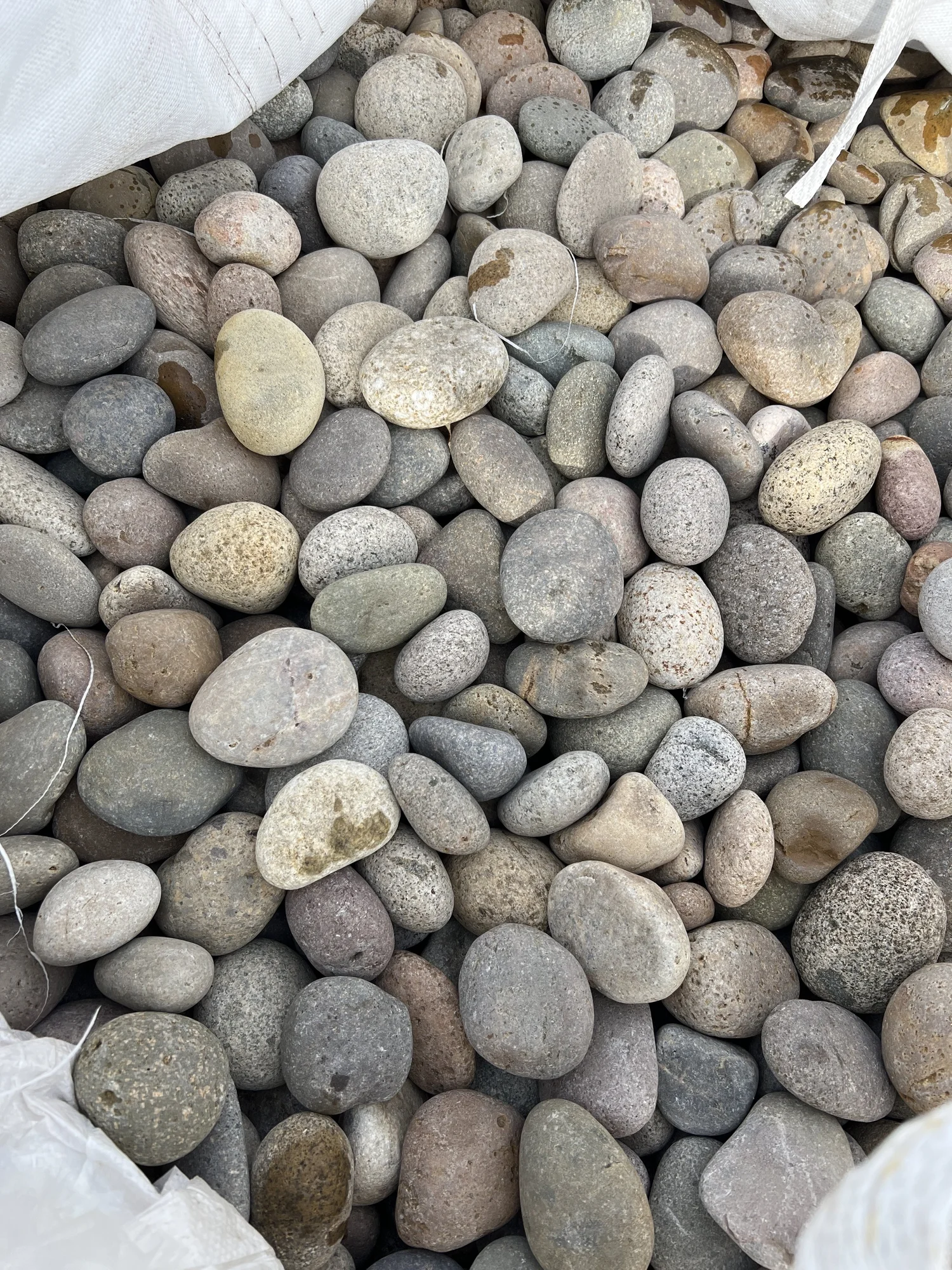 Pebbles — Warren's Rock N' Mulch