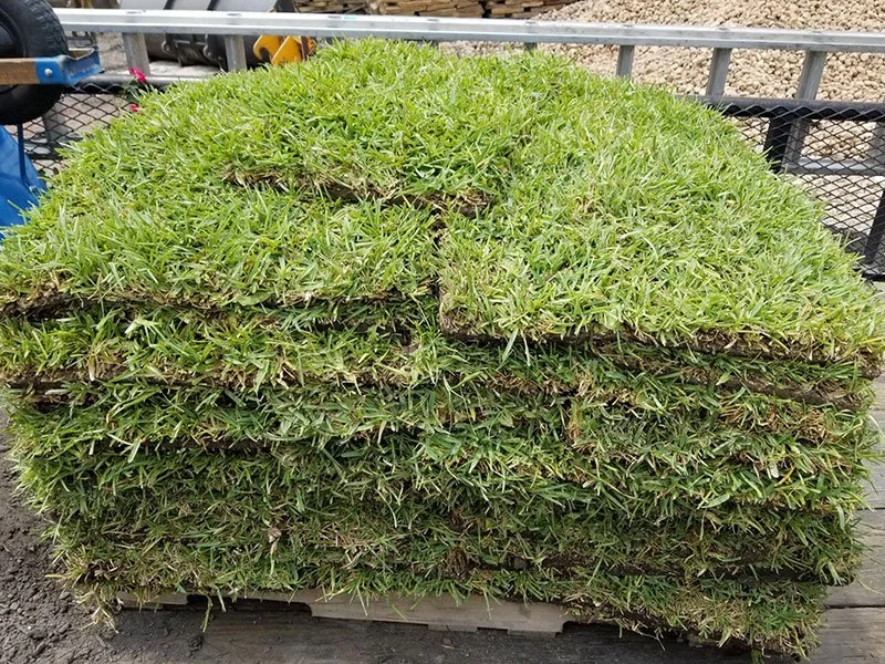 Grass — Warren's Rock N' Mulch