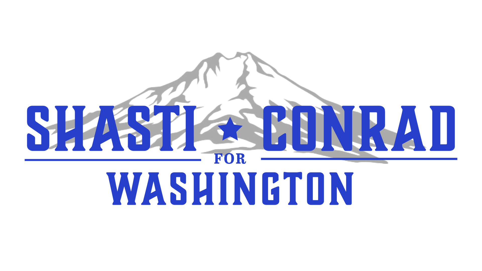 Shasti Conrad for Washington State Democrats Chair