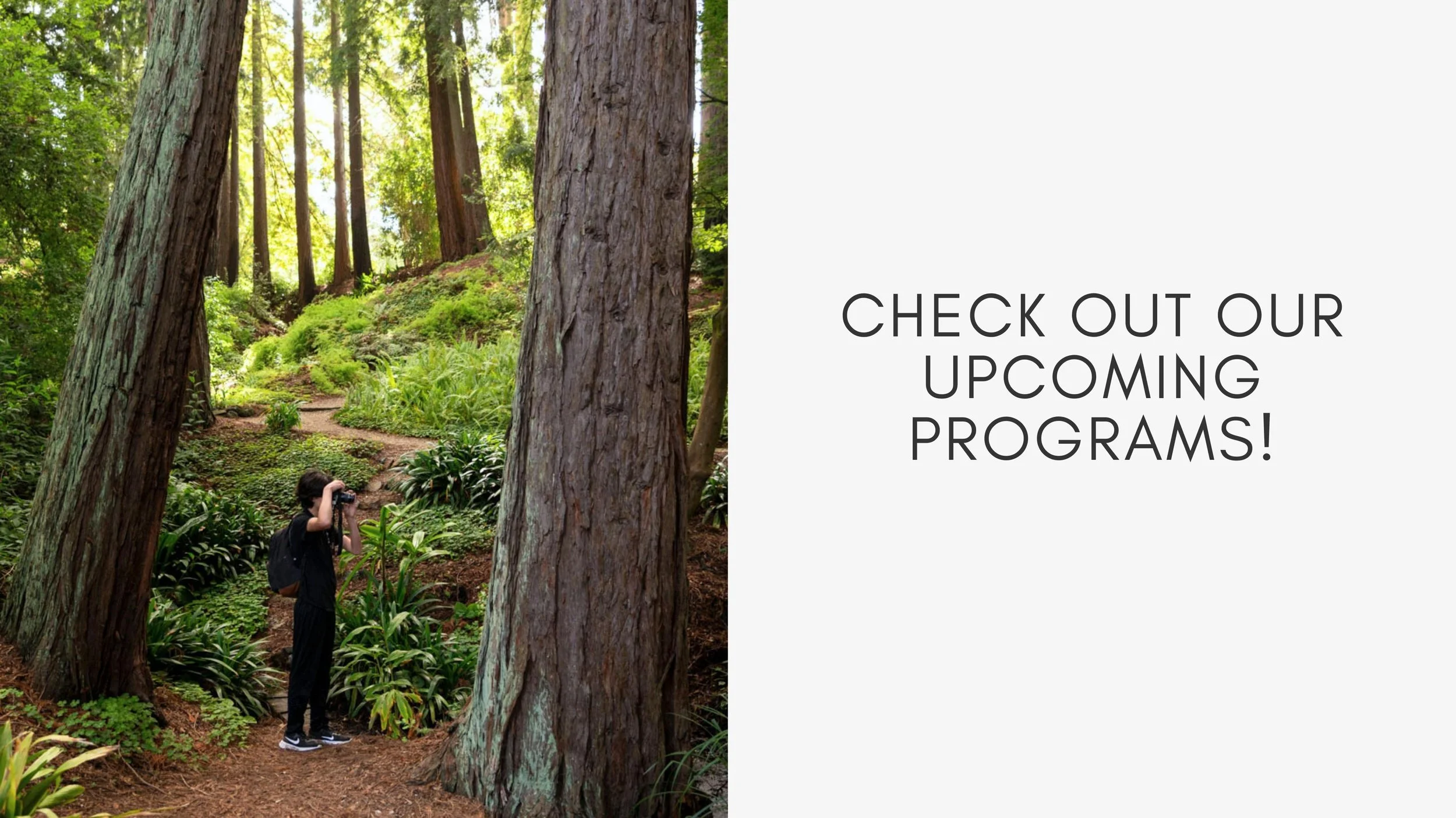 PERSPECTIVES Photo School