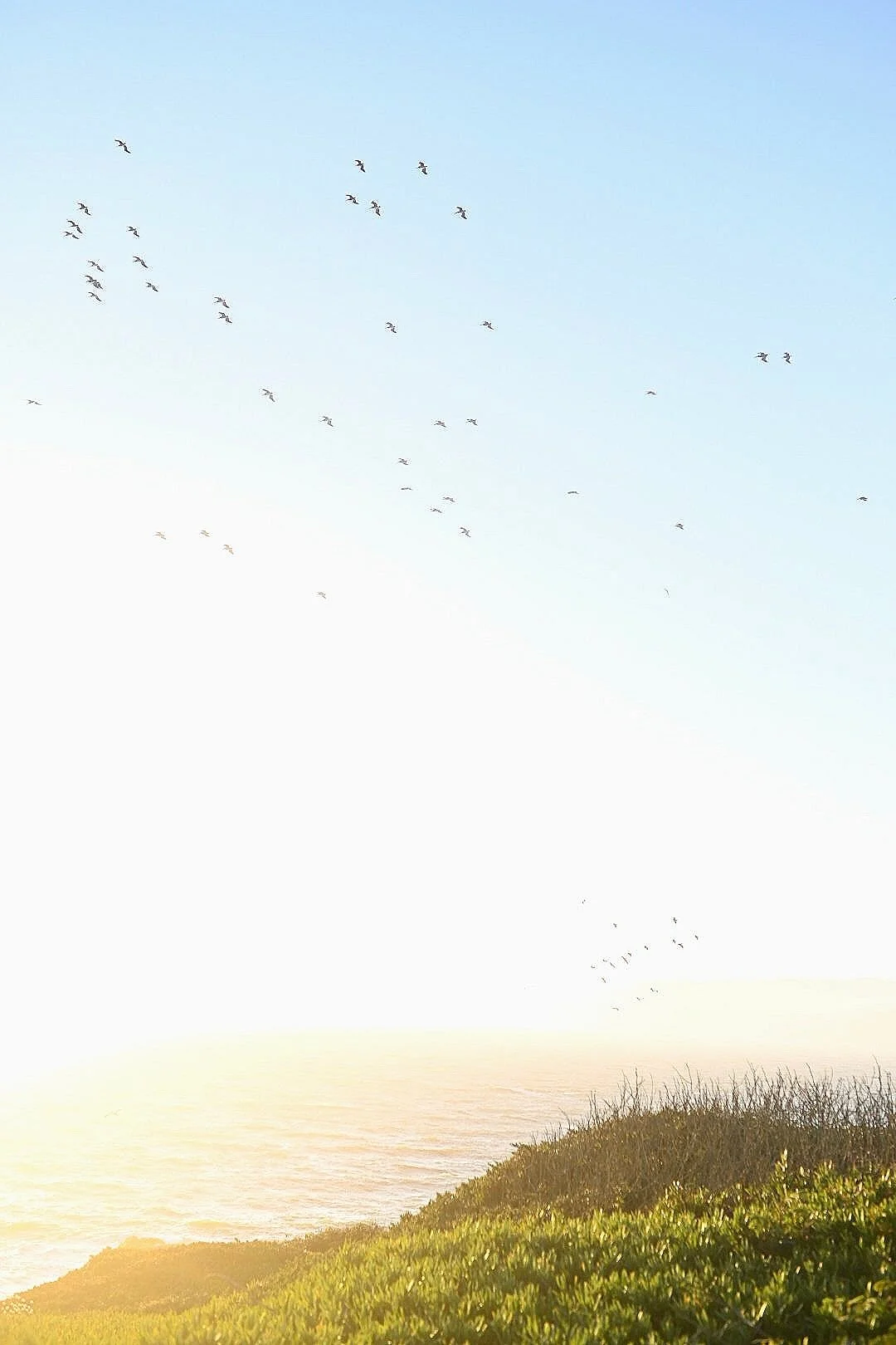 Our Story — PERSPECTIVES Photo School