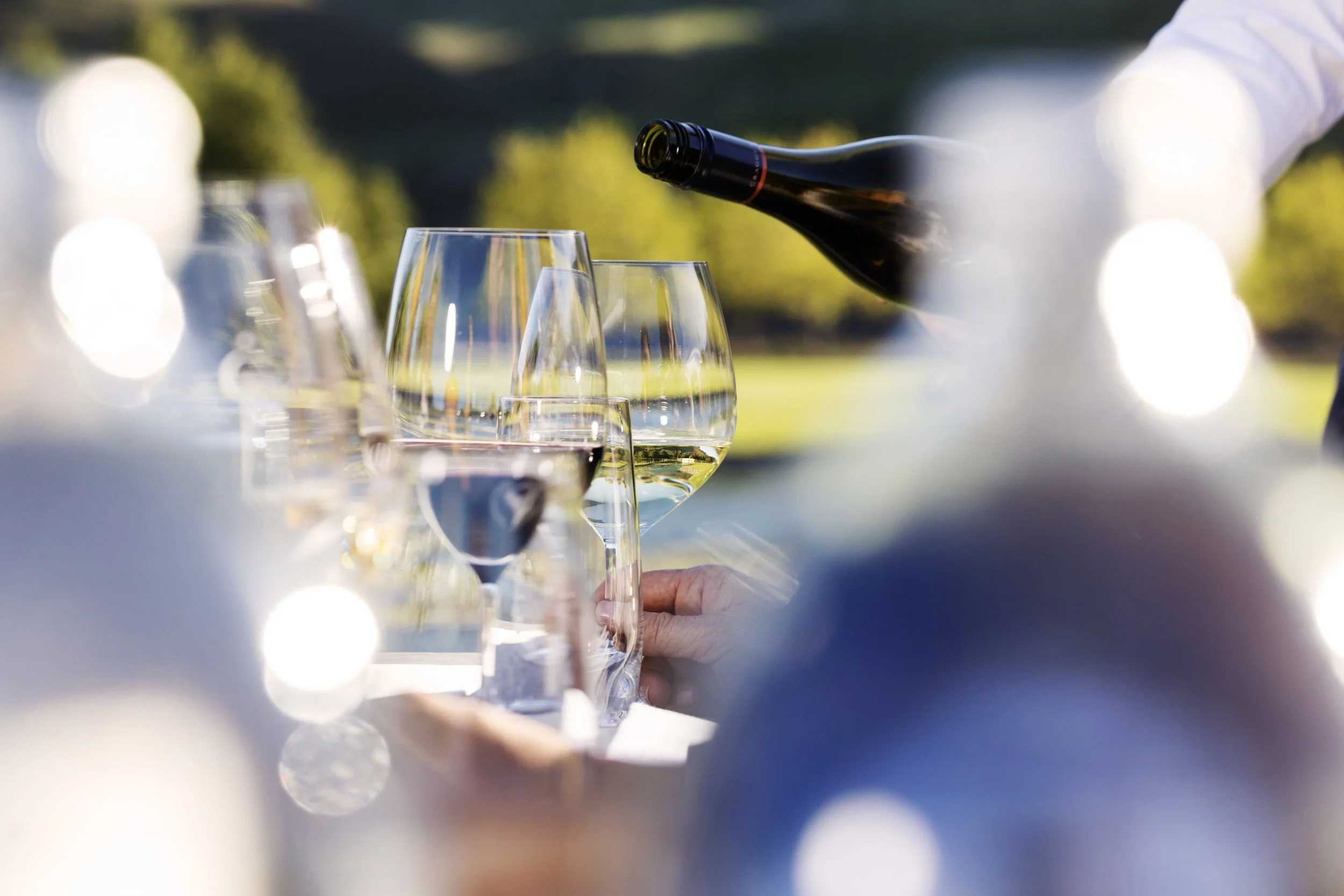 Phenolic fining elevates Pinot Gris’ saleable quality — amaea