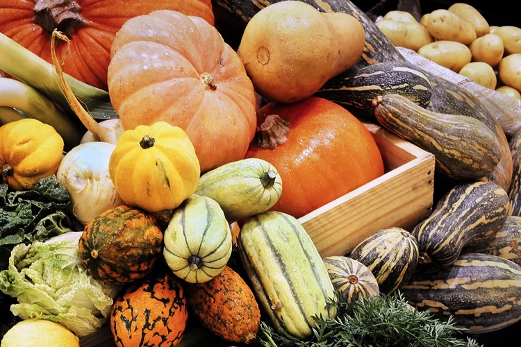 The Health Benefits of Autumn Squash | A Nutrient-Dense Seasonal ...