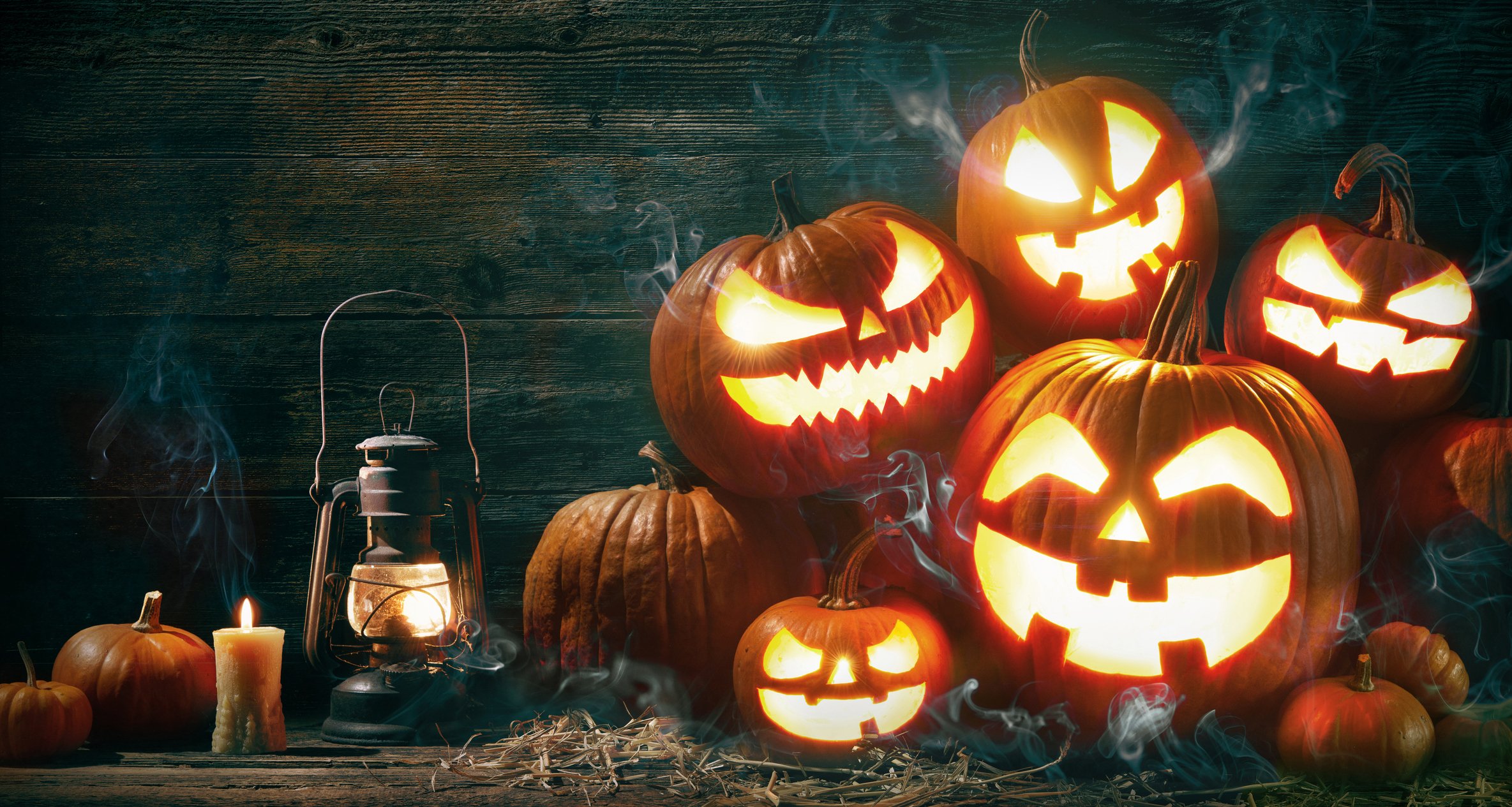 Pumpkin Varieties & Their Many Uses — Megan K.