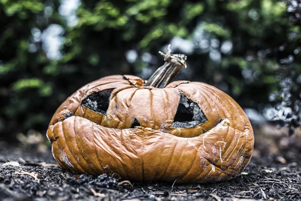 Your Guide to Composting Pumpkins — Megan K.