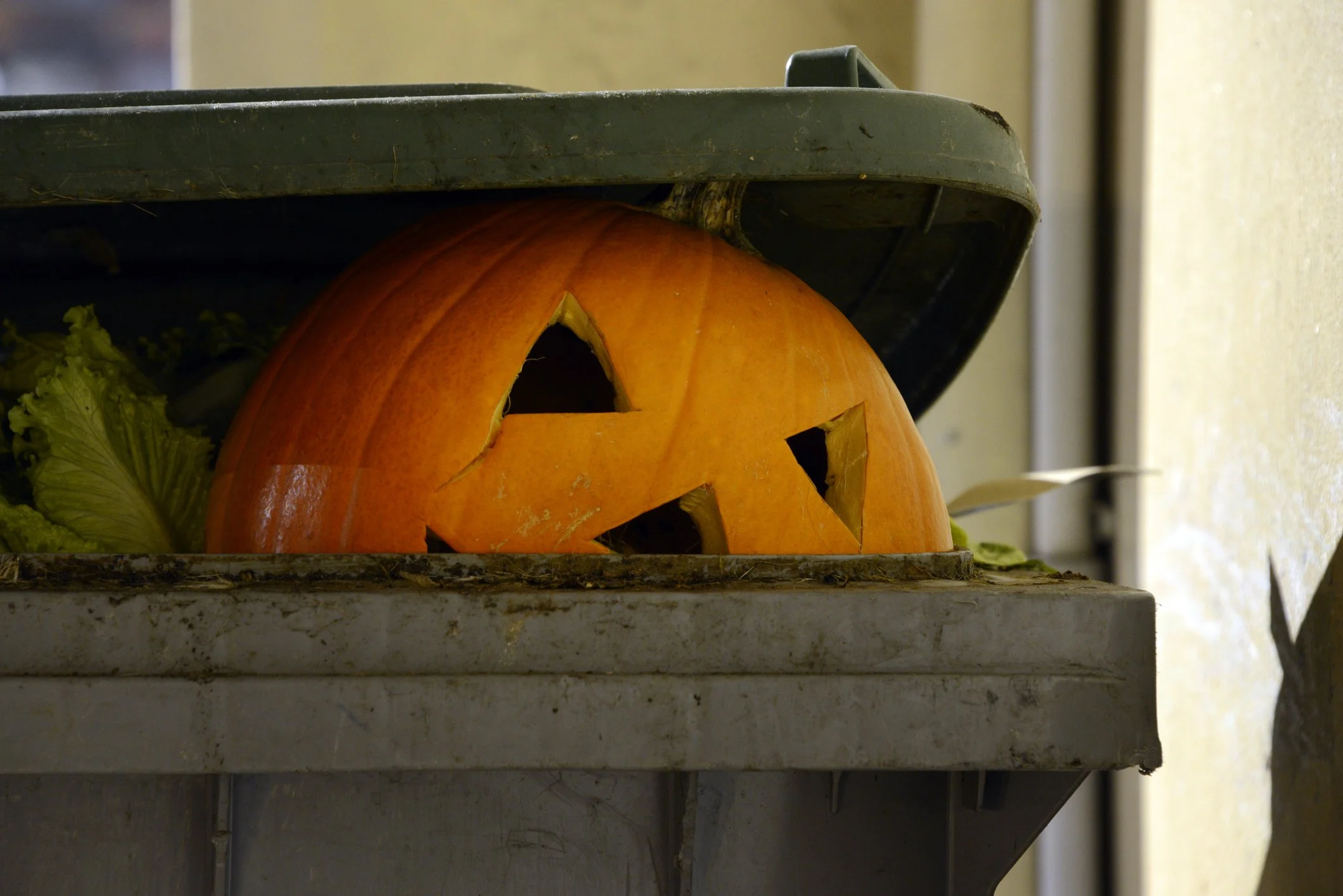 Your Guide to Composting Pumpkins — Megan K.