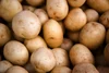 Know Your Potatoes | Red, Yukon Gold & Russet | Flavor, Uses & Cooking ...