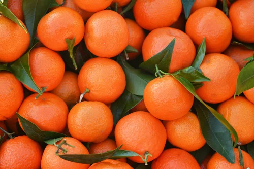 Discover the Five Best Mandarins | Flavor Profiles & Their Uses — Megan K.