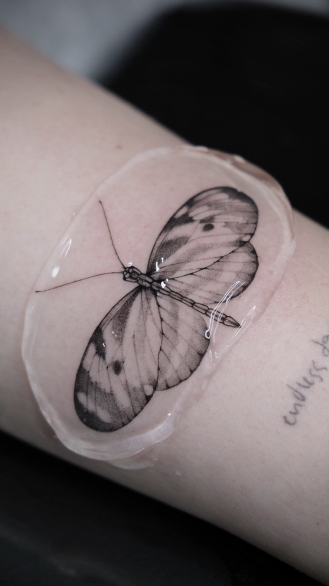 Butterfly Flash Tattoos and Designs — UPLIFT Tattoo