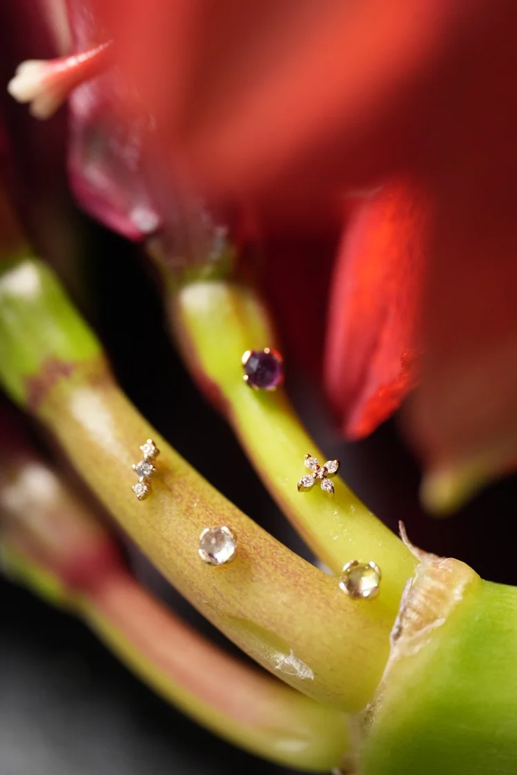 Professional Piercing in New York City — UPLIFT Tattoo
