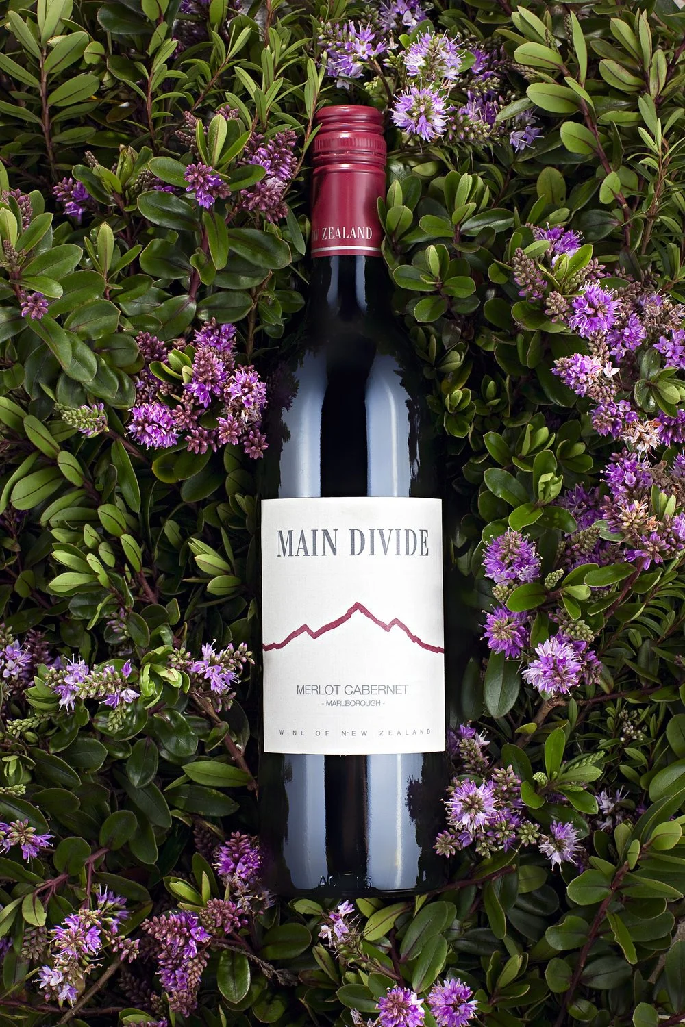 Main Divide Wine by Pegasus Bay