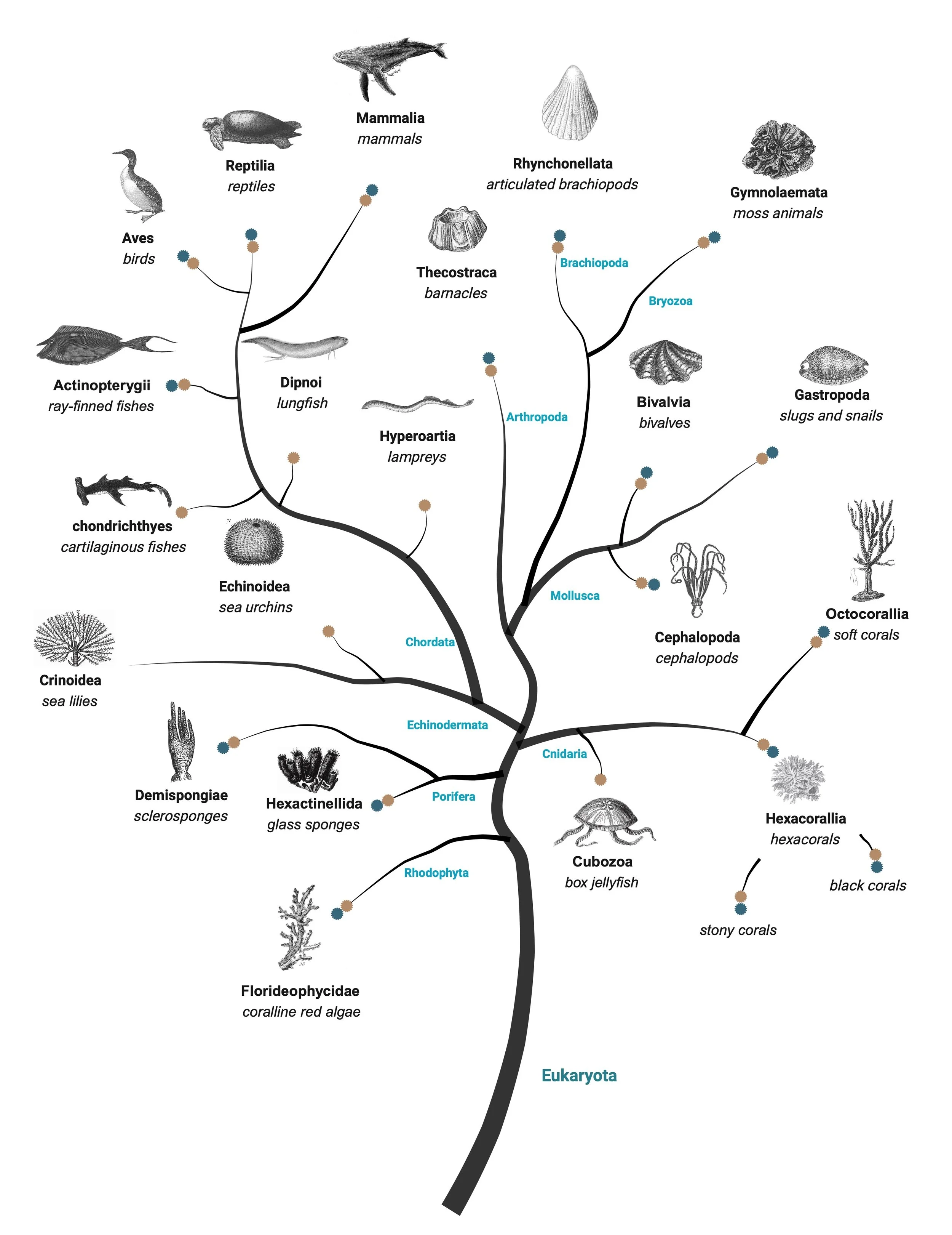 About 1 — MARIS Lab