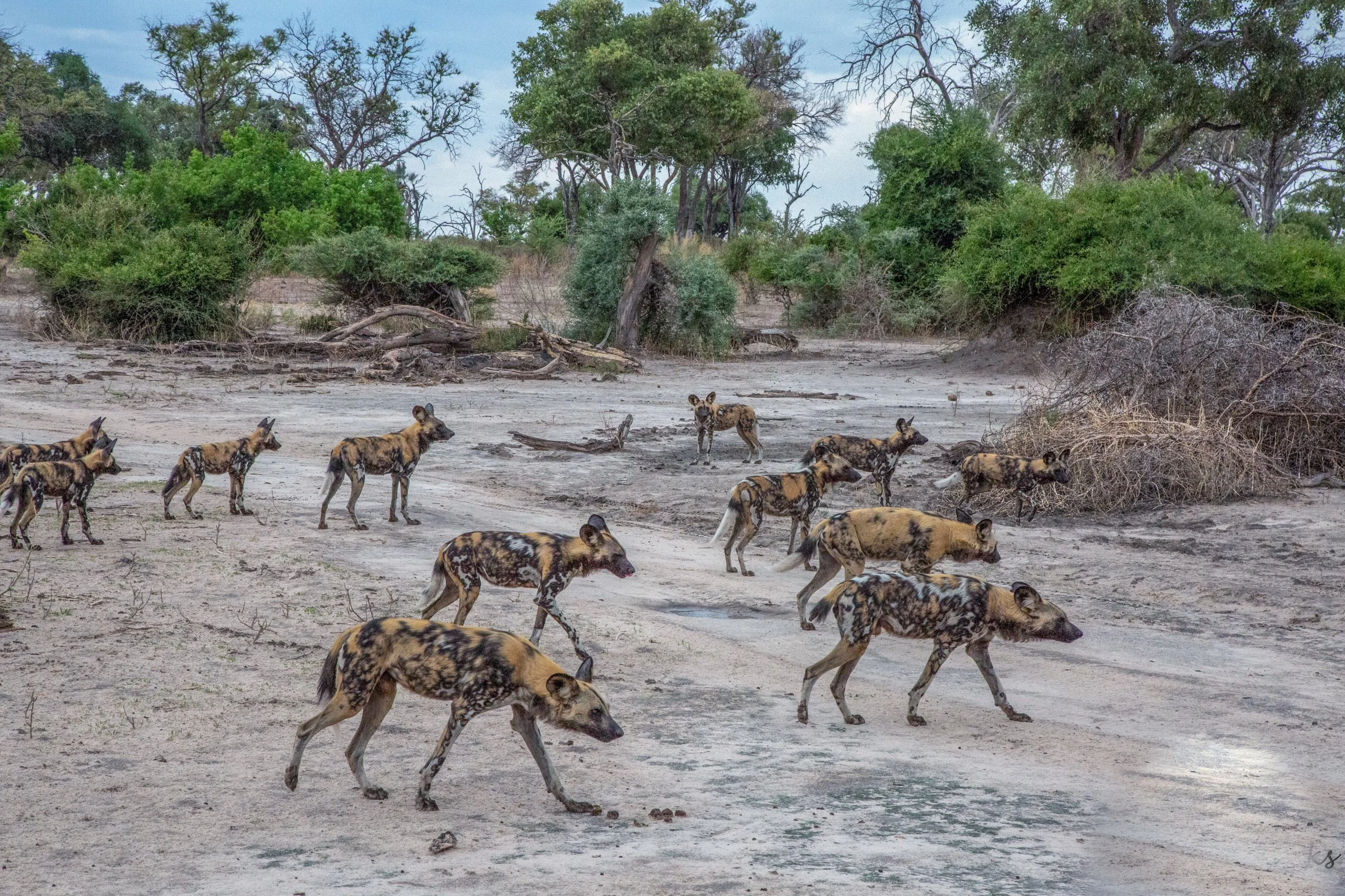Safari destinations — Simply Africa