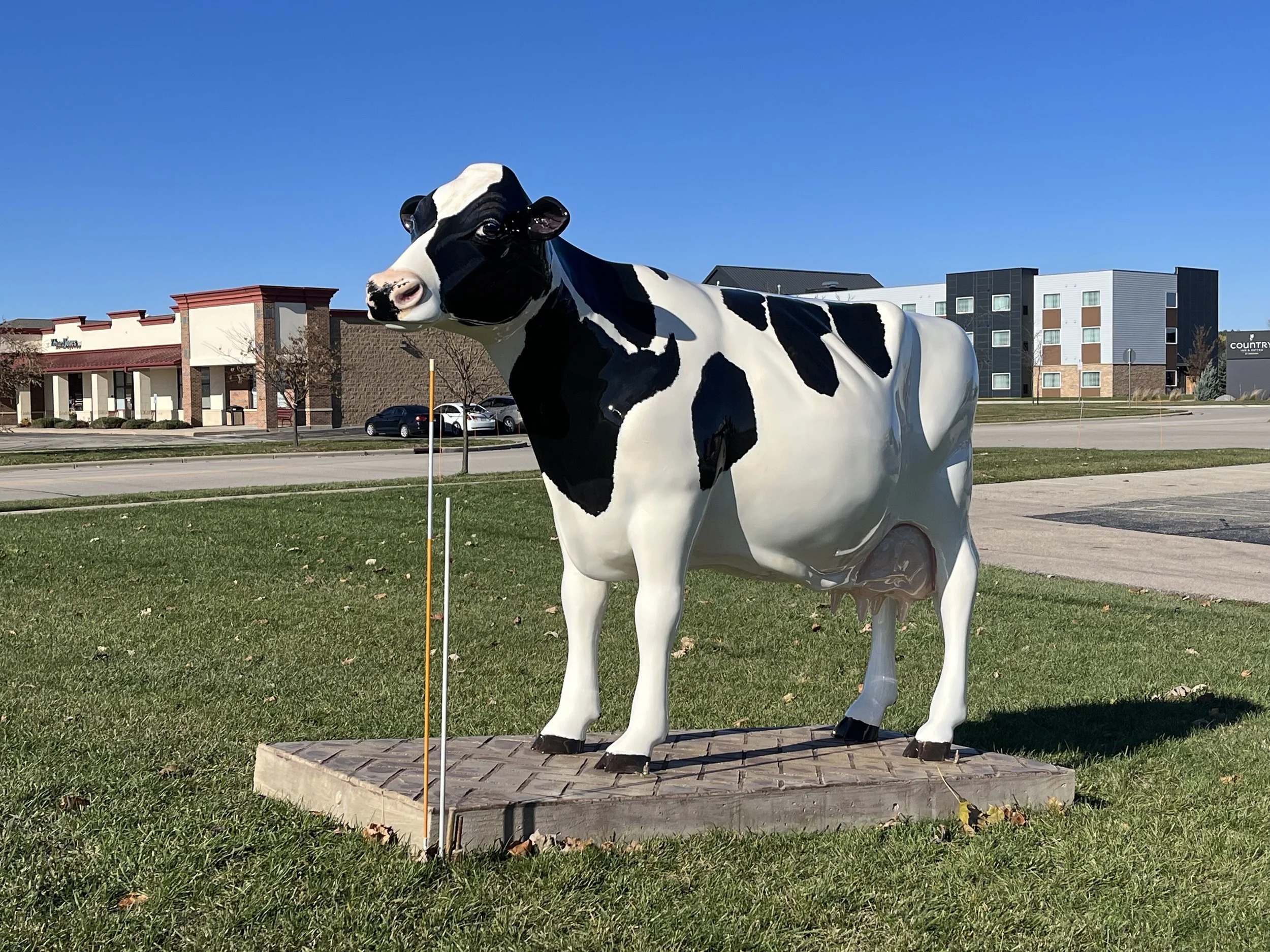 Cow Parade — Fort Atkinson Beautification Council