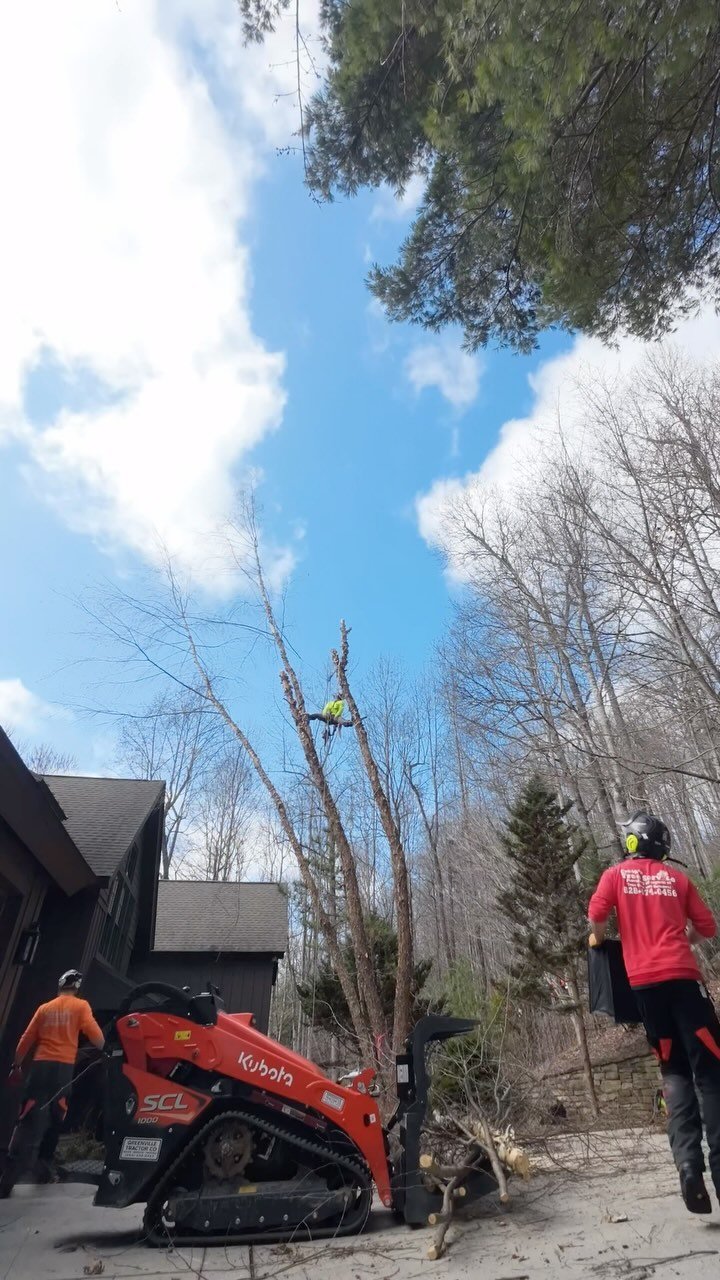 Craig's Tree Service