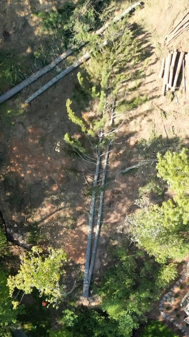 Craig's Tree Service