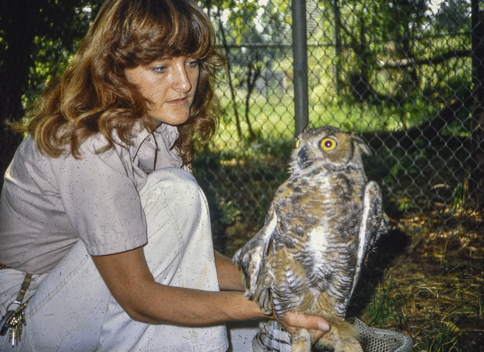 “Willy: One in Ten,” Beth’s story about a woolly monkey, published in ...