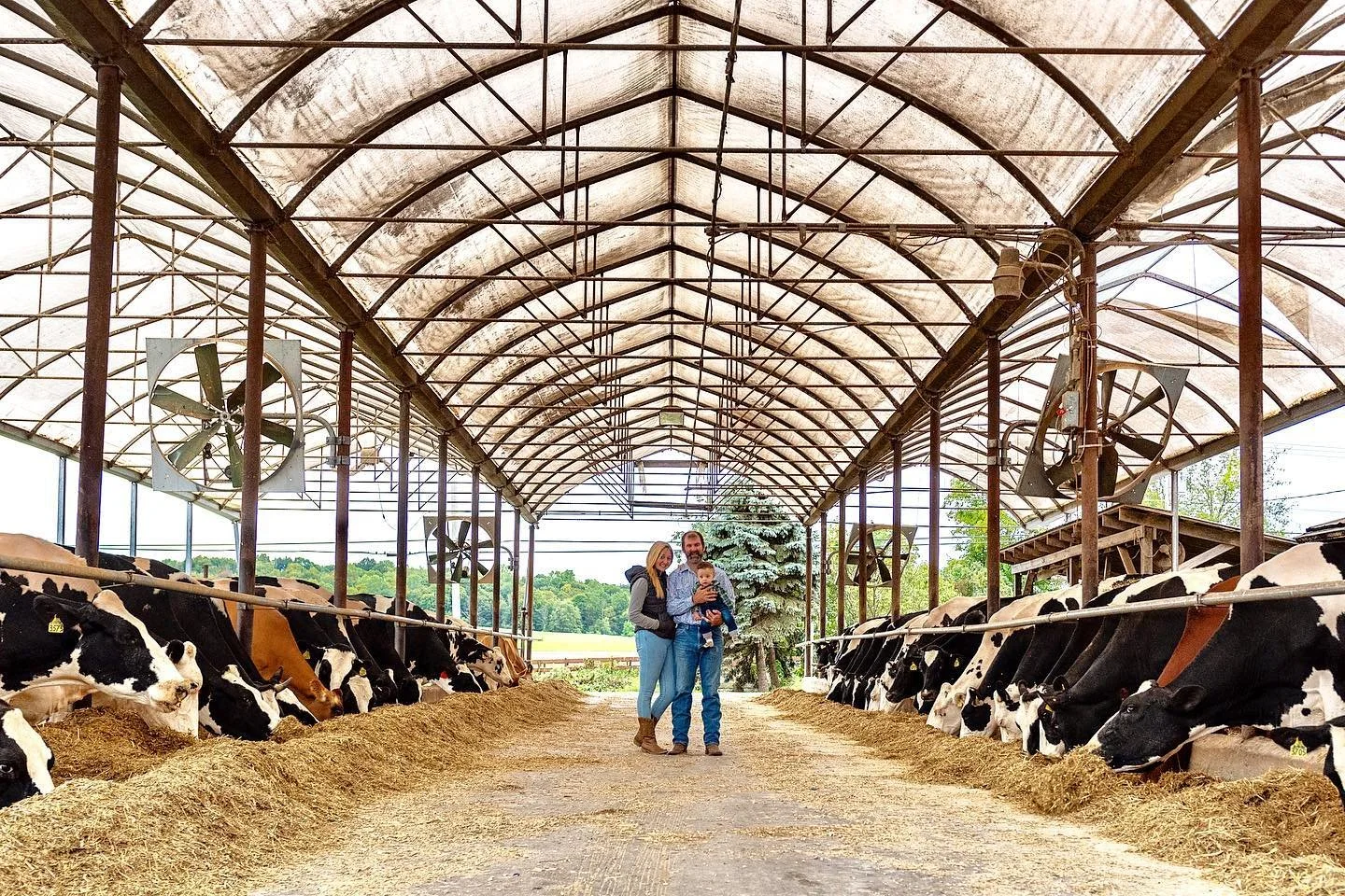 Contact — Millbrook Beef and Dairy