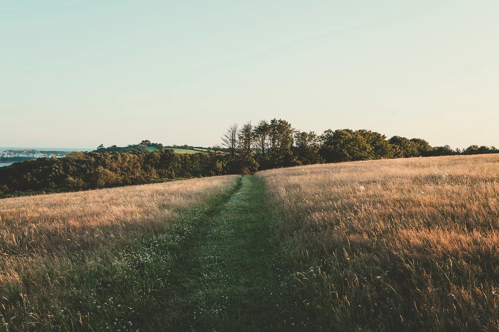 Trevayne Farm | Discover & Book Your Stay Today