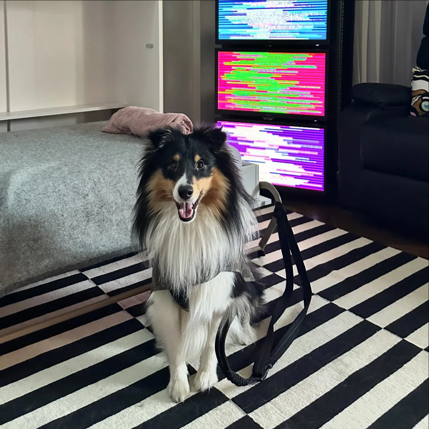 Energy Enhancement Centre 24 Unit EESystem