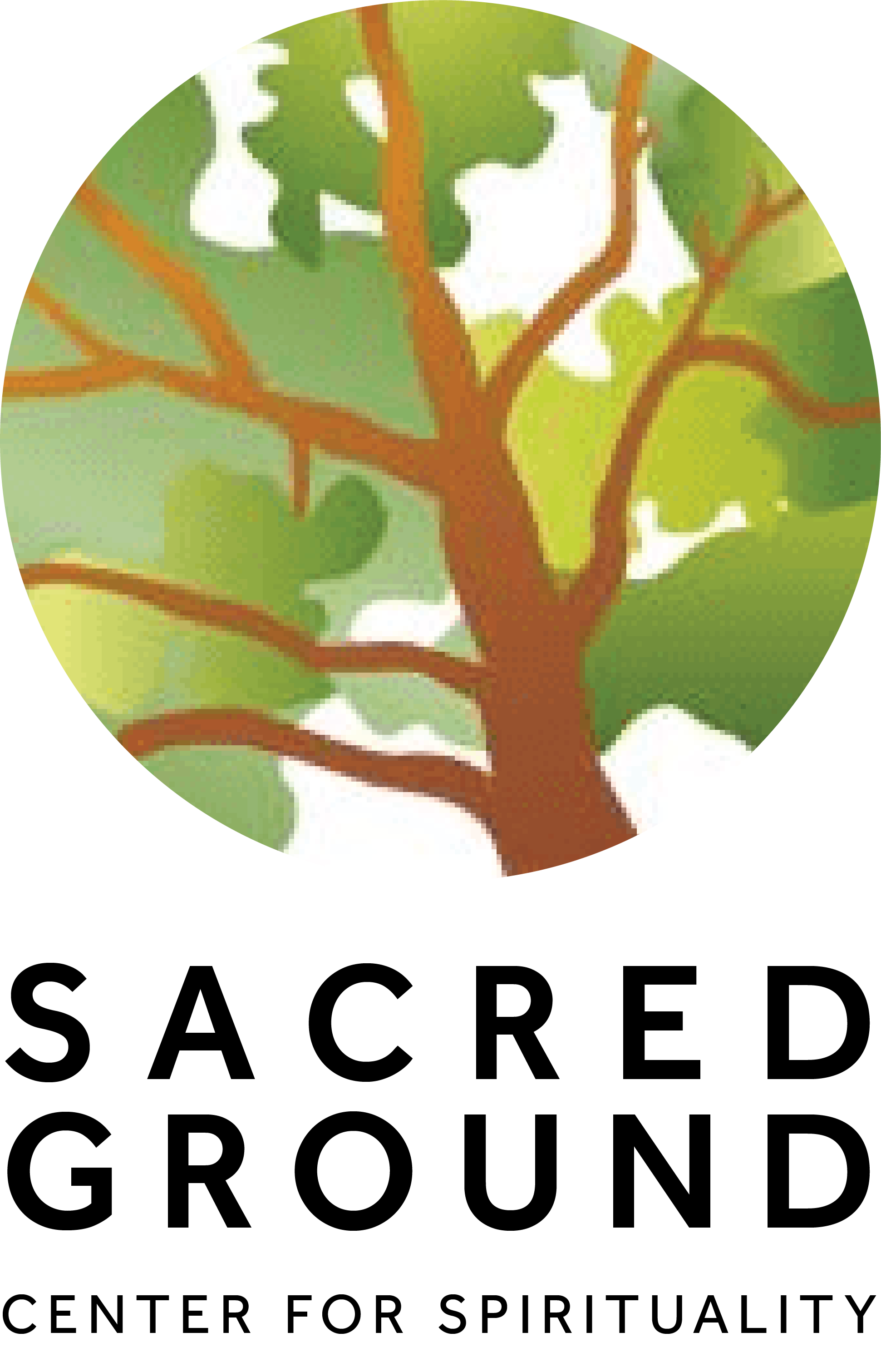 Ignatian Spiritual Direction Training Program Overview and Application ...