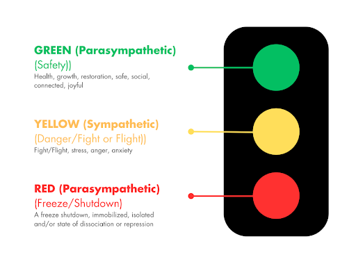 Nervous System Mastery for Entrepreneurs — Online Business Owner