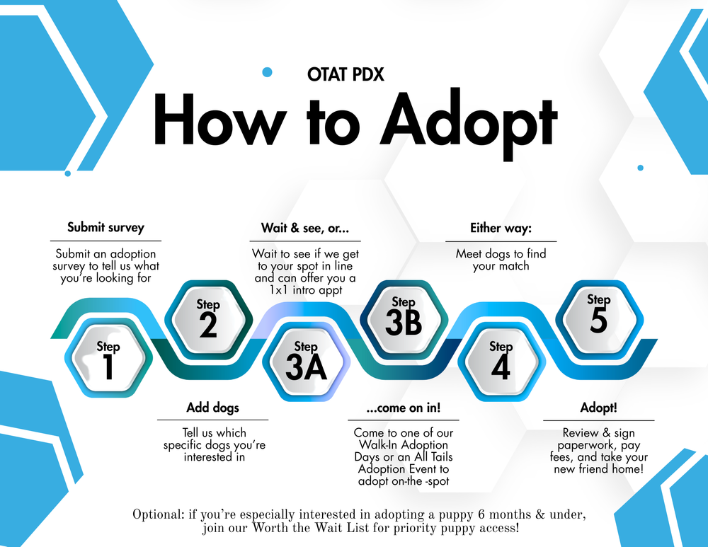 Adoption process — One Tail At A Time PDX