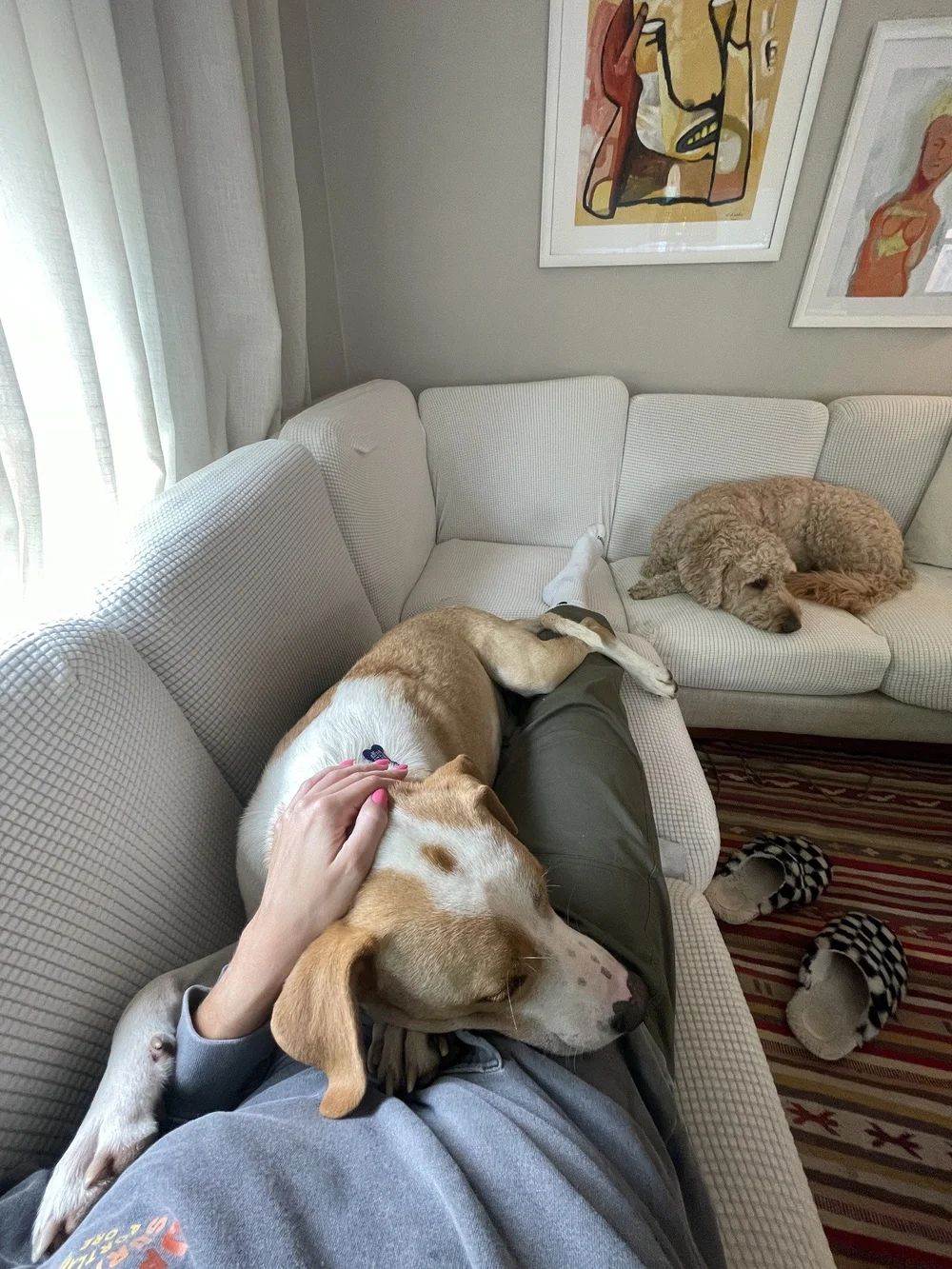 Herbert — One Tail At A Time PDX